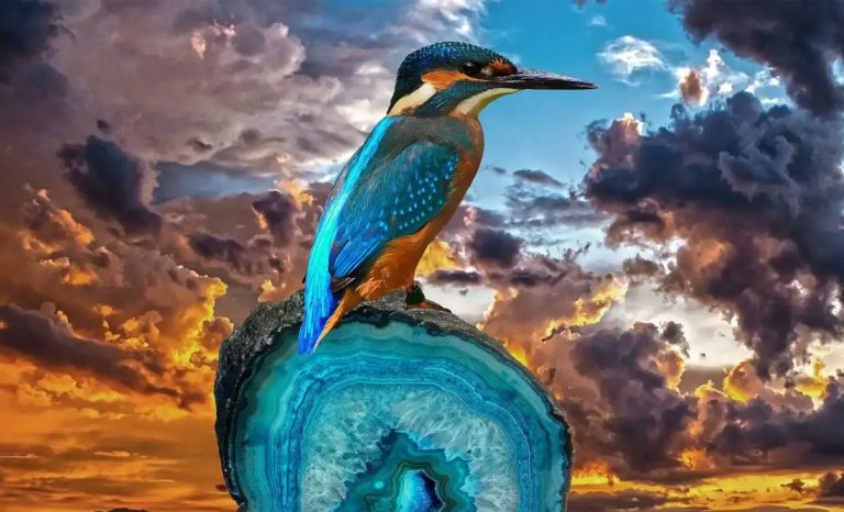 Animal Alchemy Symbols and Meanings on Whats-Your-Sign.com