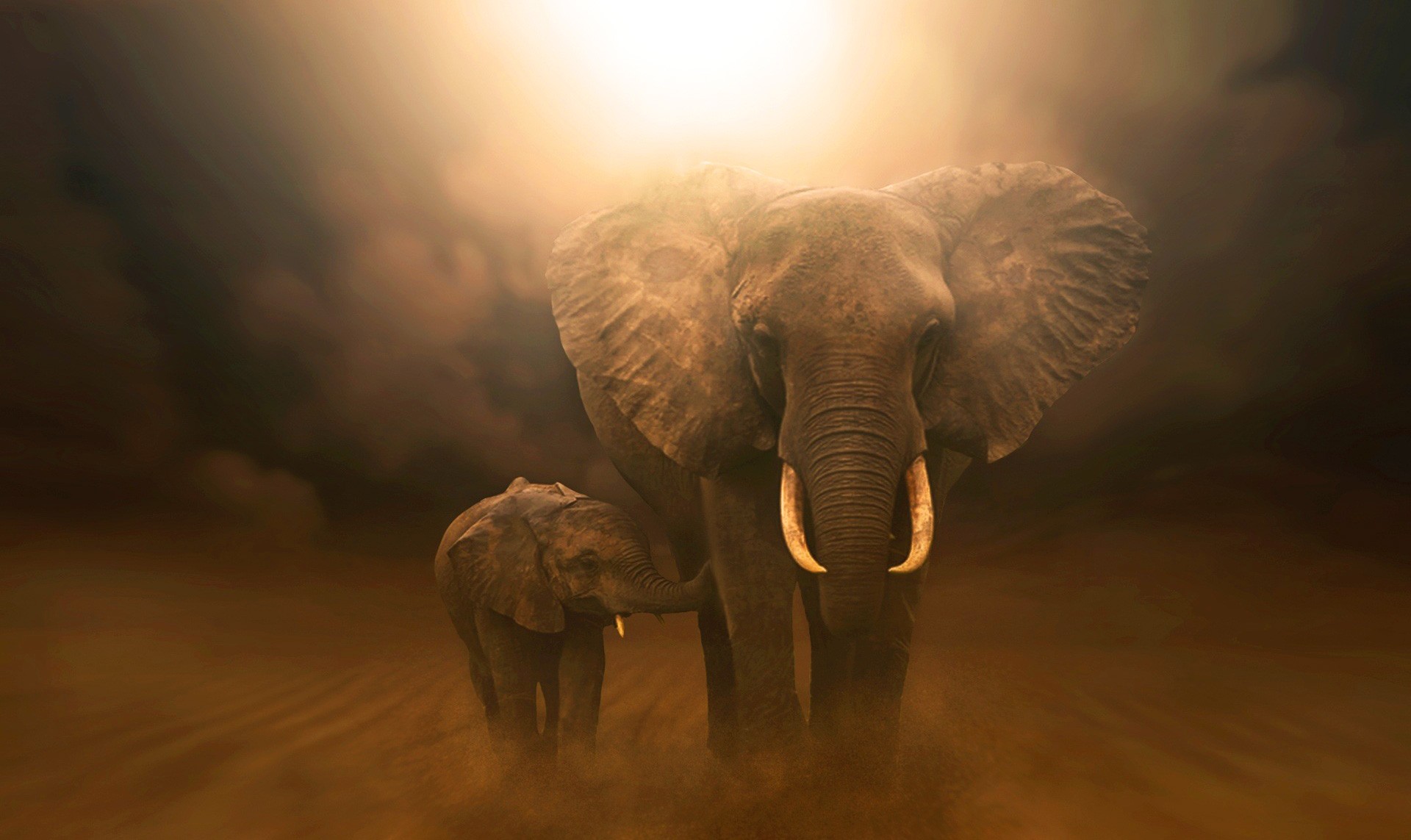 Good Luck Symbols | a List of Lucky Symbols and Meanings on Whats-Your-Sign