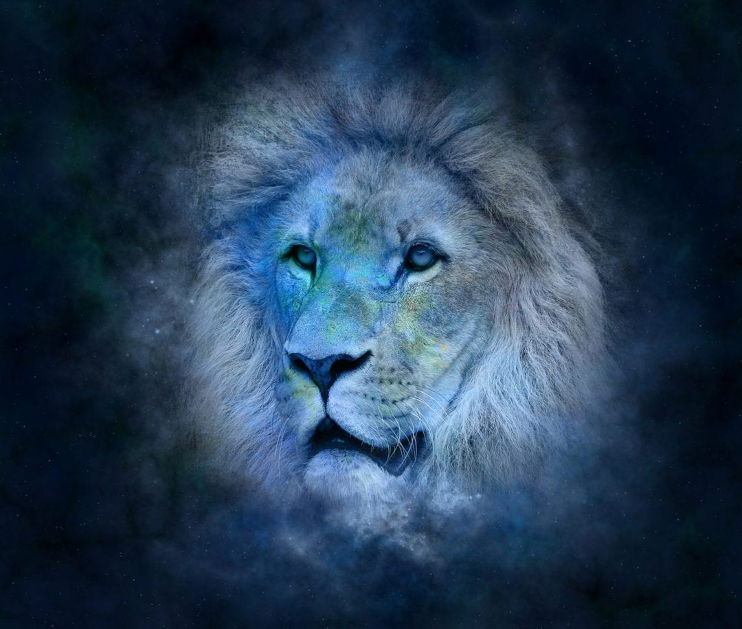 Zodiac Symbols For Leo And Leo Sign Meaning On Whats Your Sign