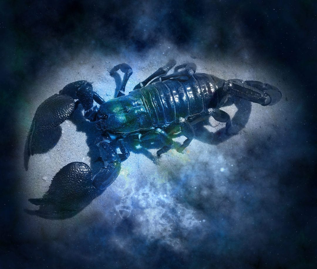 Zodiac Symbols For Scorpio And Sign Meanings On Whats-Your-Sign