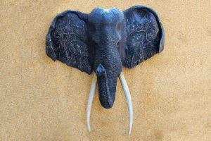 Animal Symbolism Likeness and Representations on Whats-Your-Sign.com