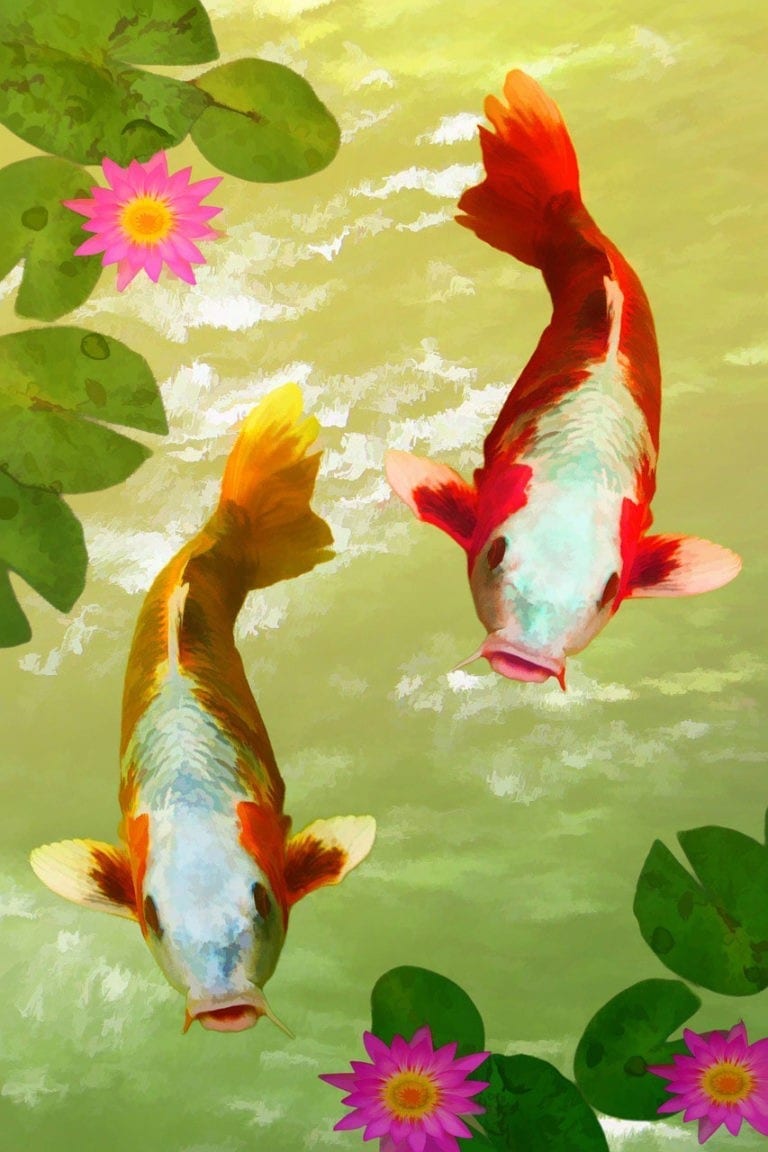 Animal Symbolism Koi Meaning on Whats-Your-Sign.com