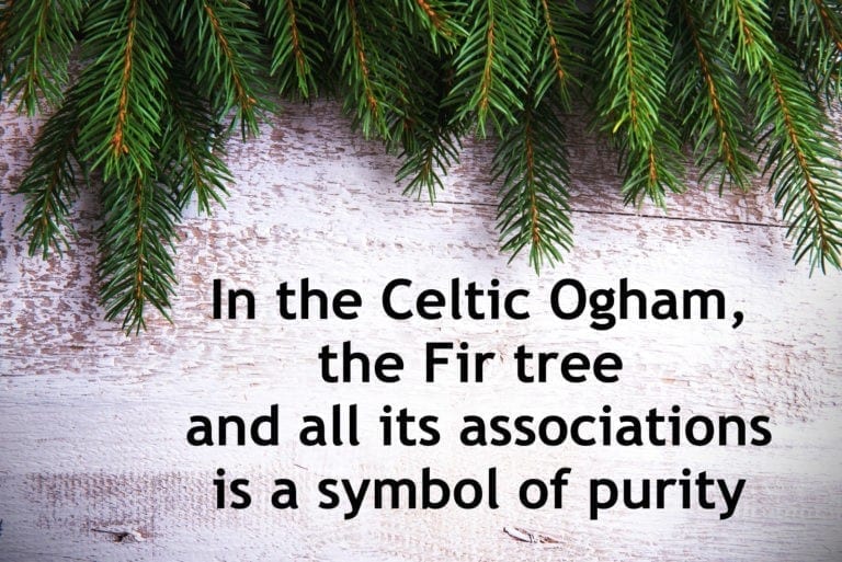 Celtic Symbol for Purity in Culture and Ogham on Whats-Your-Sign