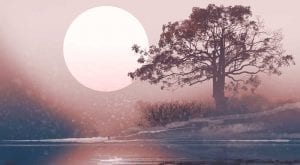 Druid Signs Meanings: Your Celtic Astrology Signs on Whats-Your-Sign