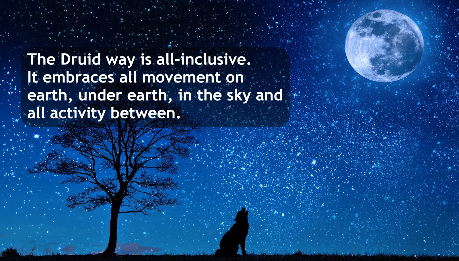 DruidSignsIntro1 - Whats-Your-Sign.com