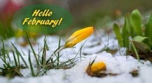 February Meaning and Symbols of February on Whats-Your-Sign