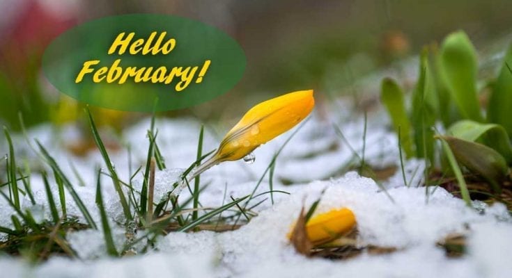 February Meaning and Symbols of February on Whats-Your-Sign