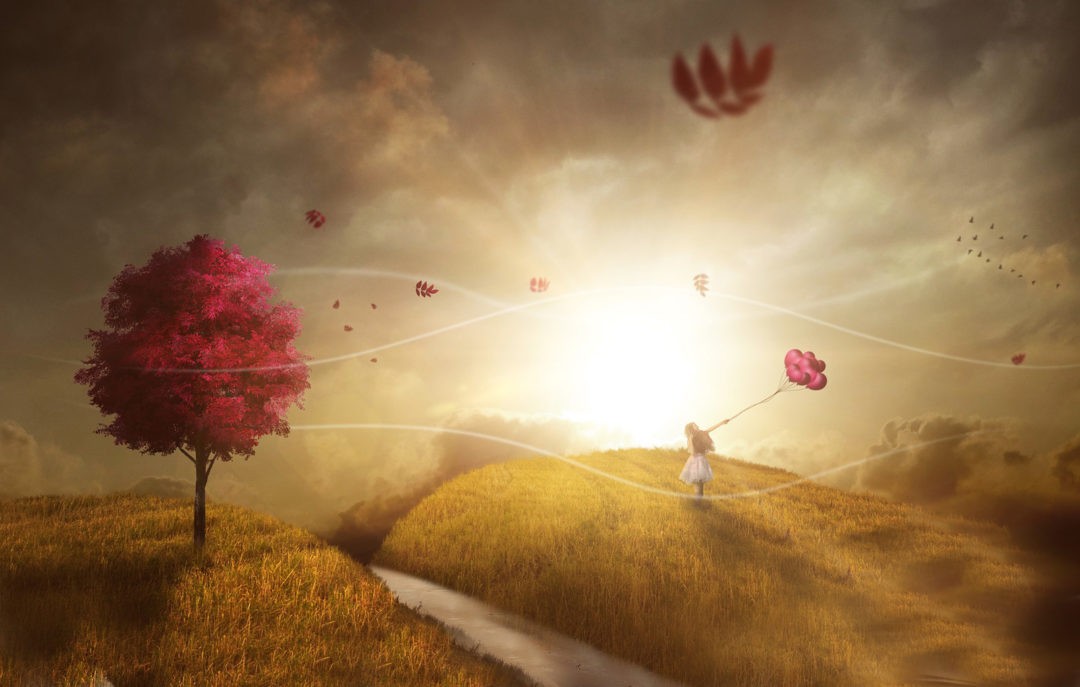 Six Steps to Interpreting Dreams | Importance of Dreams | by Avia on ...