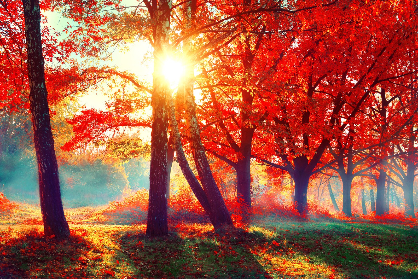 Getting Messages From Nature On Whats Your Sign