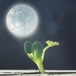 Native American Moon Signs and Meanings on Whats-Your-Sign