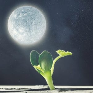 Native American Moon Signs and Meanings on Whats-Your-Sign