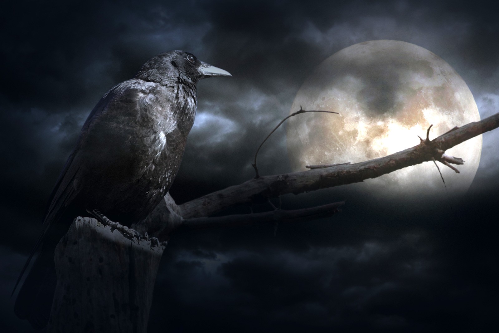 Snow Moon Meaning: Symbolism of Full Moon in February