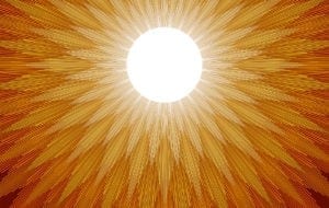 June Meaning and Symbolism on Whats-Your-Sign