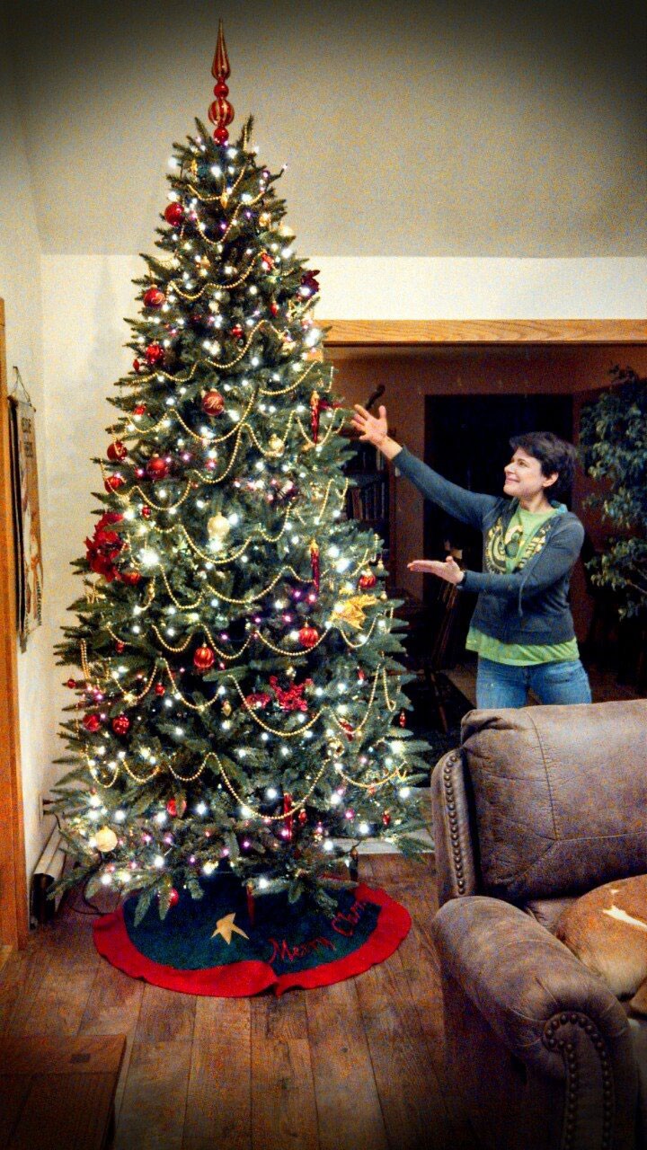 Christmas Tree Definition Christmas Tree Definition