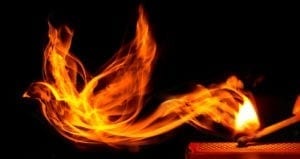 Symbolic Meaning of the Phoenix on Whats-Your-Sign