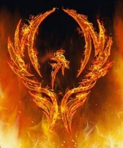 Symbolic Meaning of the Phoenix on Whats-Your-Sign