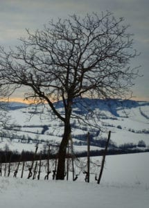 Symbolic Meaning of Seasons on Whats-Your-Sign.com