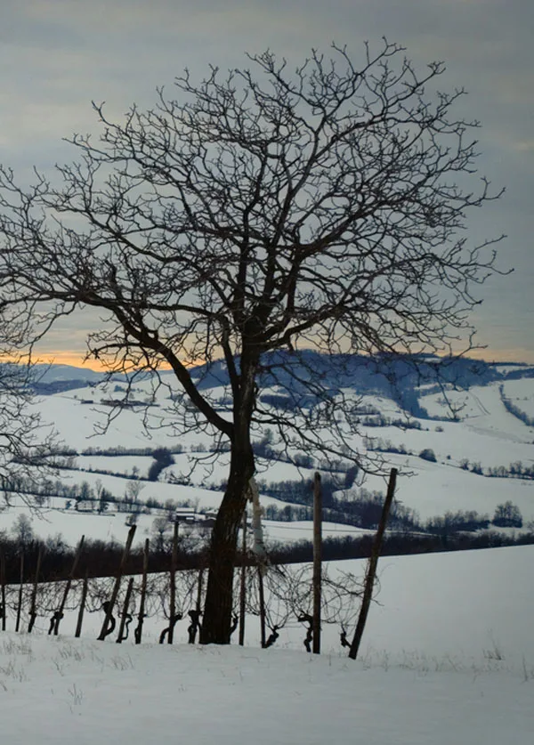 Symbolic Meaning of Seasons on Whats-Your-Sign.com