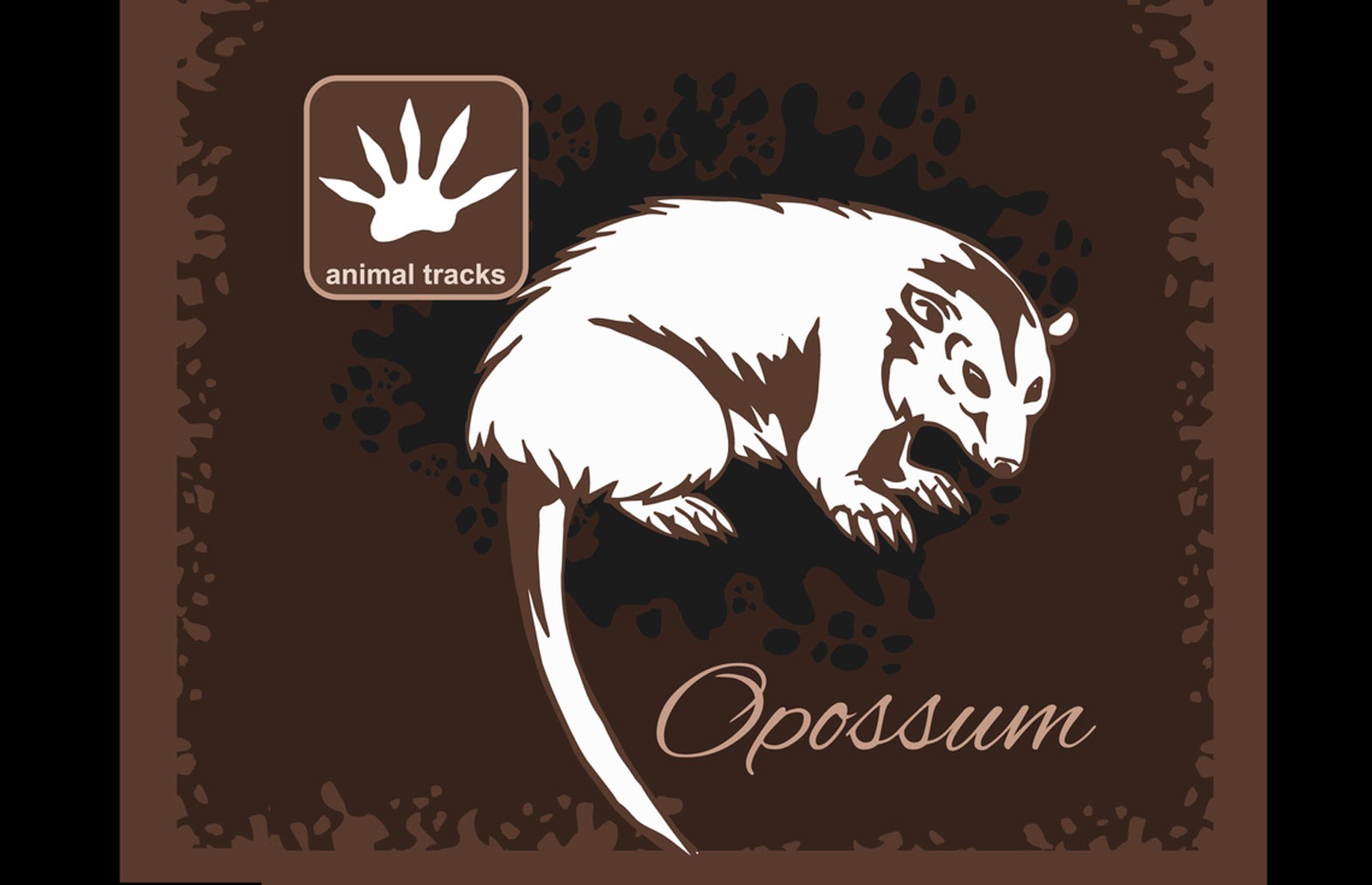Symbolic Possum Meaning and Possum Totem on Whats-Your-Sign