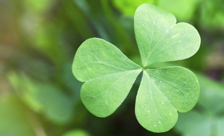 Symbolic Shamrock Meaning on Whats-Your-Sign.com