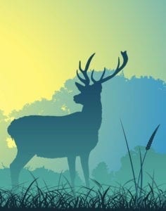 Symbolic Stag Tattoo Ideas and Stag Meaning on Whats-Your-Sign