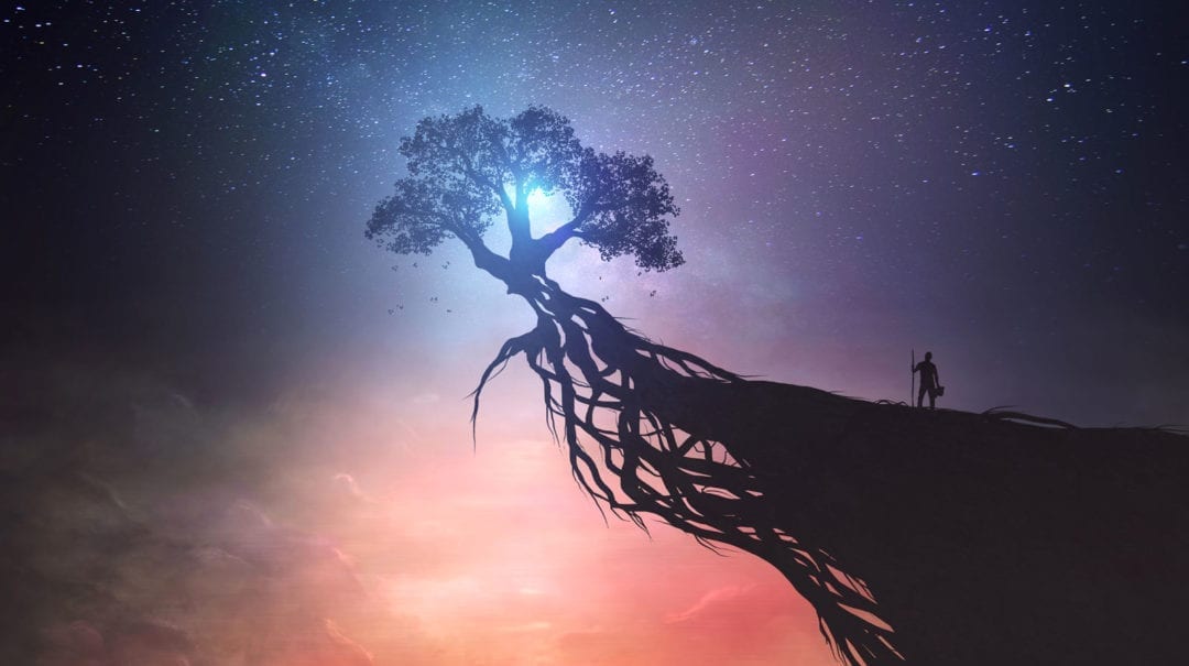 Tree Universe - Whats-Your-Sign.com