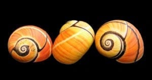 Triple Symbol Meanings and the Power of Three on Whats-Your-Sign