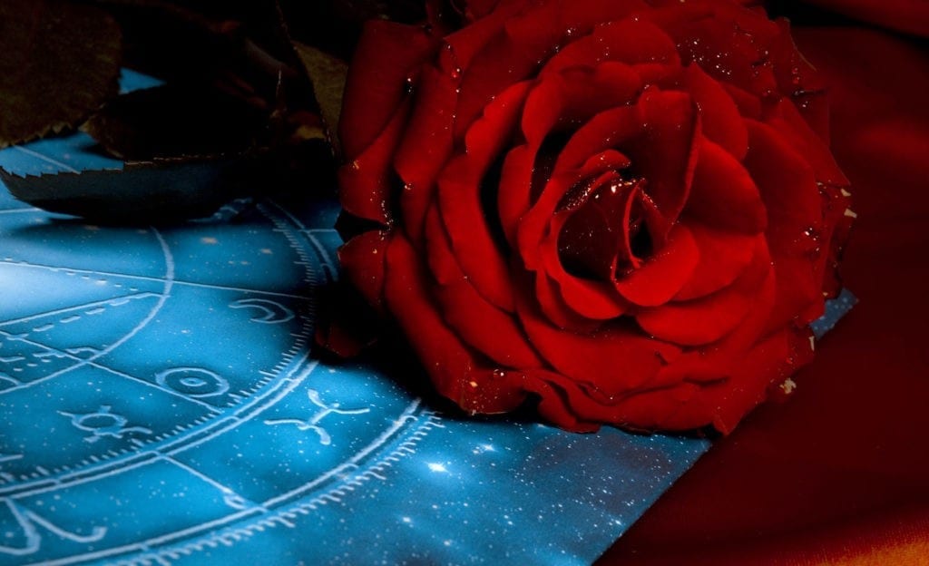 Three Roses Meaning - Kapamotu