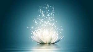 Zodiac Flower Signs and Meanings on Whats-Your-Sign