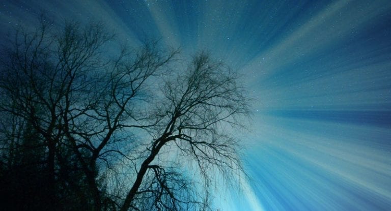 Celtic Meaning: Reed Symbolism in Druid Ogham on Whats-Your-Sign