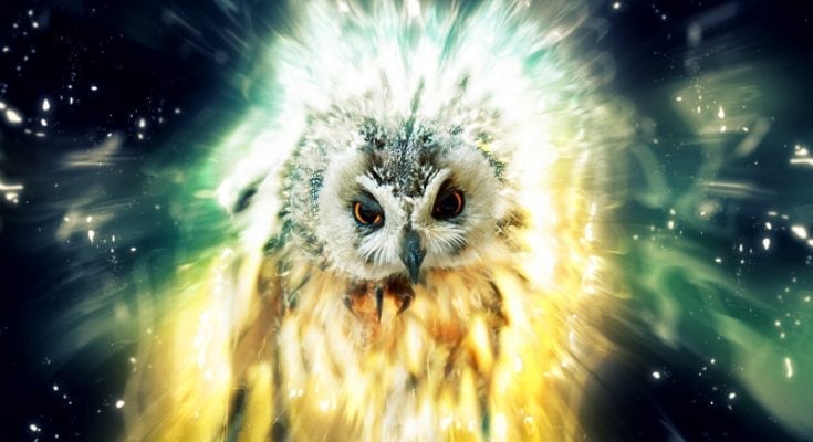 What is a Totem? Get the details on whats-your-sign.com