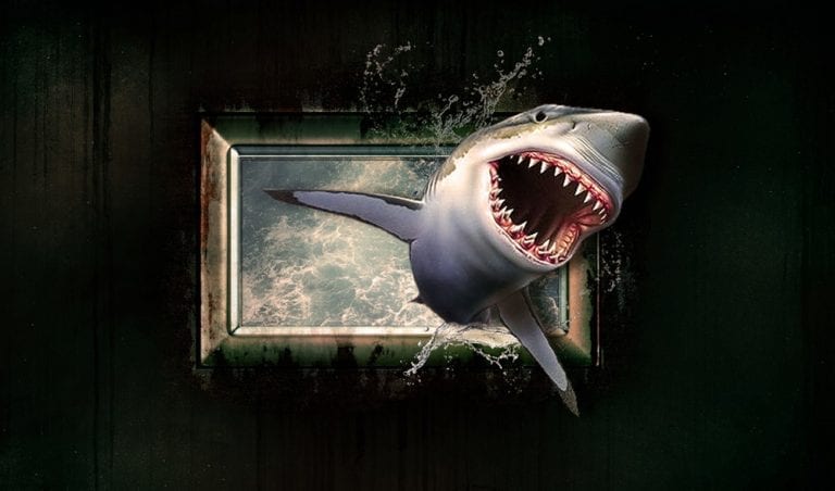 Shark Totem Meaning and Shark Symbolism on Whats-Your-Sign