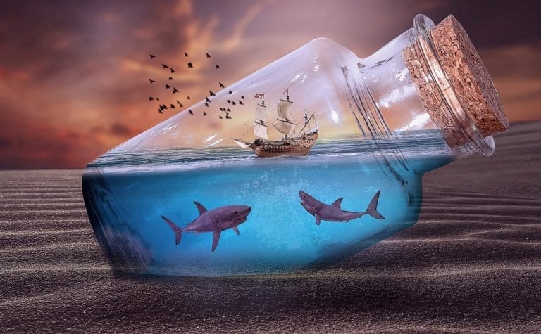 Dreaming of Shark Meaning and Symbolism on whats-your-sign