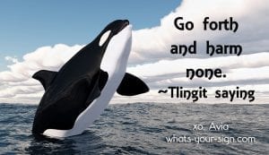 Tlingit Legend of Orca Whale Meaning on Whats-Your-Sign