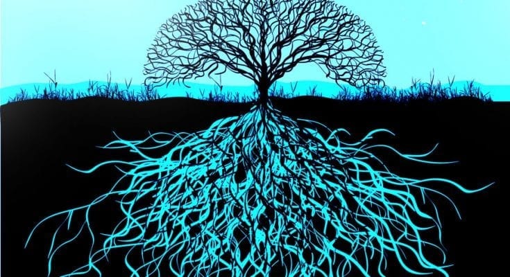 Tree Symbol of Life on Whats-Your-Sign.com Look at the tree as a symbol ...