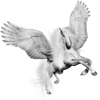 Evil Pegasus Drawing
