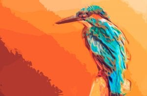 Meaning of Halcyon Days | The Bird, the Myth and the Legend of Halcyon ...