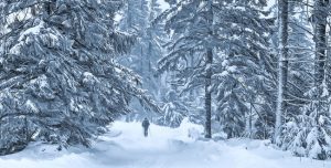 January Meaning and Symbolism on Whats-Your-Sign