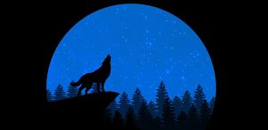 Native American Moon Signs and Meanings on Whats-Your-Sign