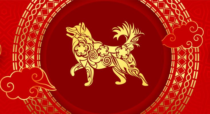 Dog Chinese Zodiac Sign Meaning and Chinese New Year by Avia | Whats ...
