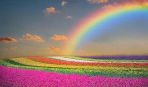 Symbolism and Signs of Spring by Avia on Whats-Your-Sign.com