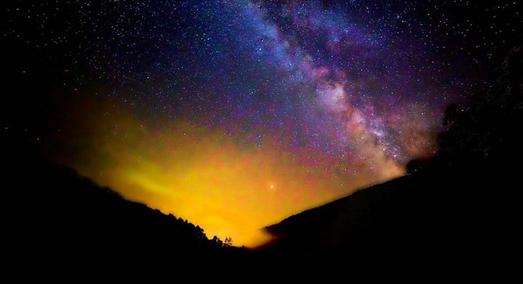 Spring Zodiac Signs and Meaning | Your Seasonal Astrology Insight ...