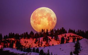 Blood Moon Meaning | Myths, Signs and What to Do During the Blood Moon ...