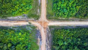 Crossroads of Choice | Symbolic Tips to Making Choices at a Crossroads ...