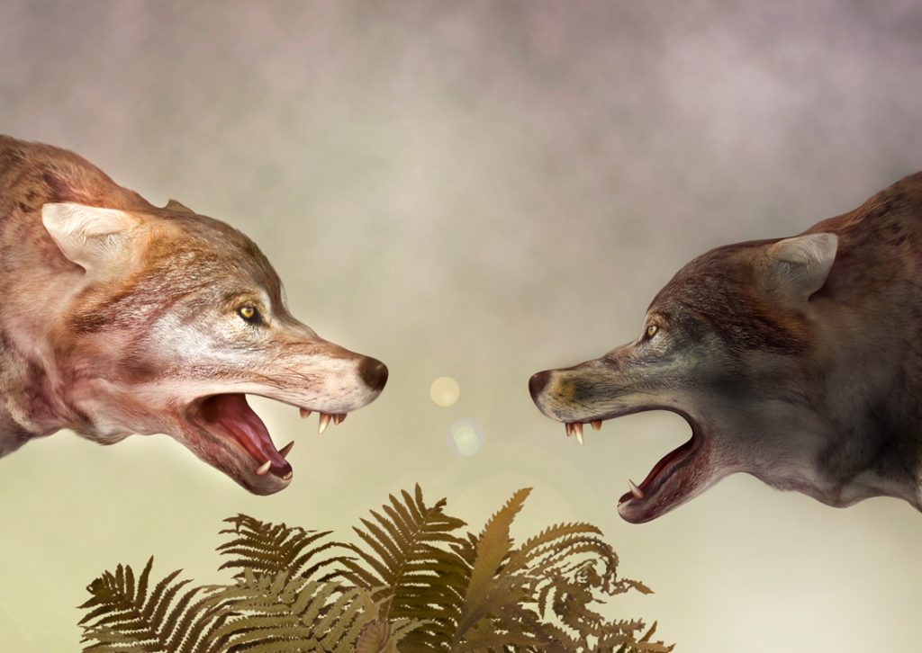 Your Guide to Interpreting Signs and Symbolic Meanings