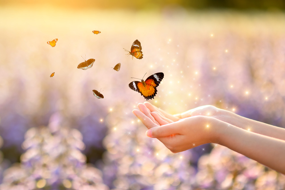 Butterfly Love Messages - Whats-Your-Sign.com