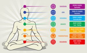 Flowers Associated With Chakras | Flowers and Chakra Meanings