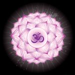 Flowers Associated With Chakras | Flowers and Chakra Meanings