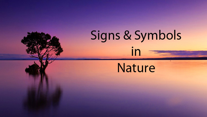 Whats-Your-Sign.com Your Guide to Symbolic Meanings of All Kinds!