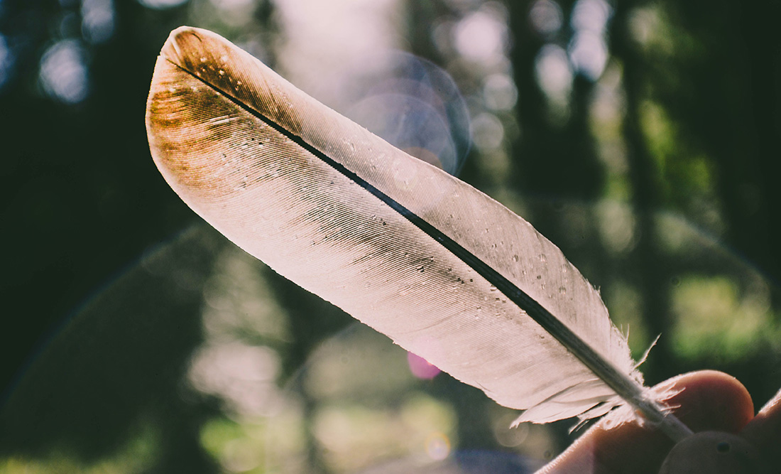Finding Feathers | Meaning of Finding Feathers | Whats-Your-Sign